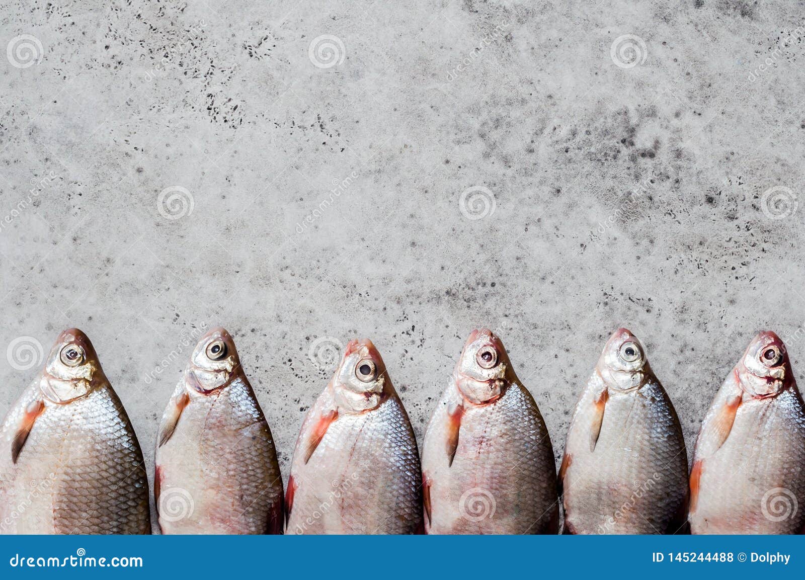 River Fish Background stock photo. Image of natural - 145244488