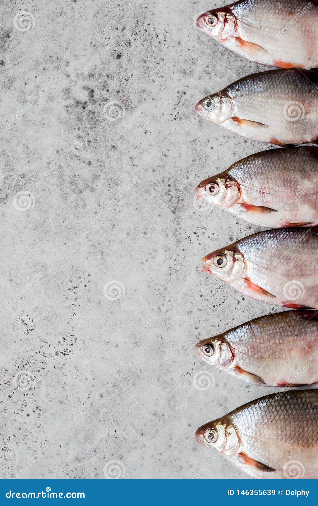 River Fish Background stock image. Image of background - 146355639