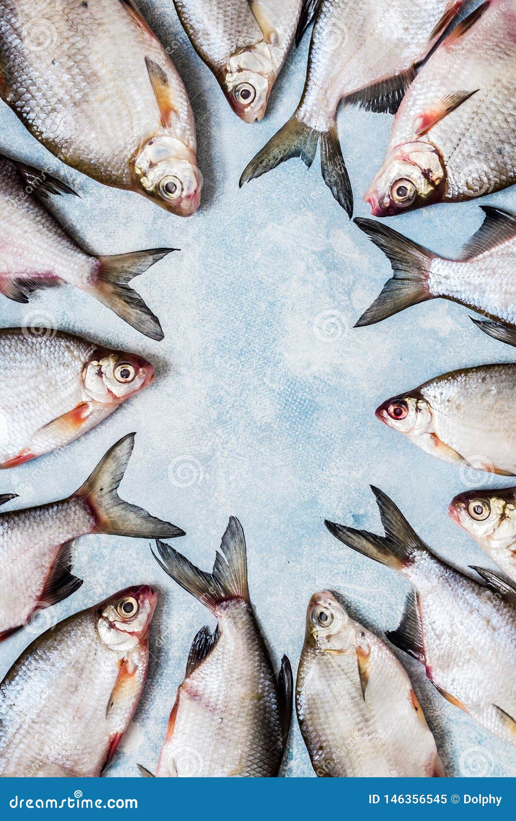 River Fish Background stock image. Image of poster, market - 146356545