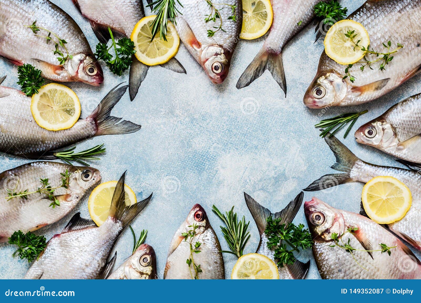 River Fish Background stock image. Image of carp, flat - 149352087