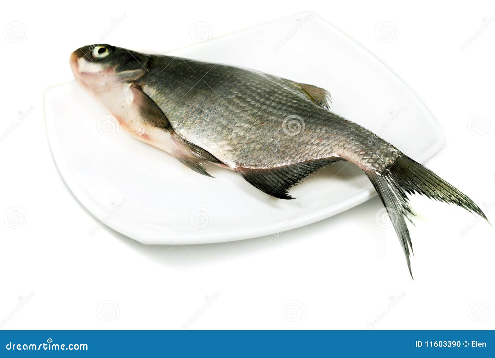 River fish bream stock photo. Image of food, crude, prepared - 11603390
