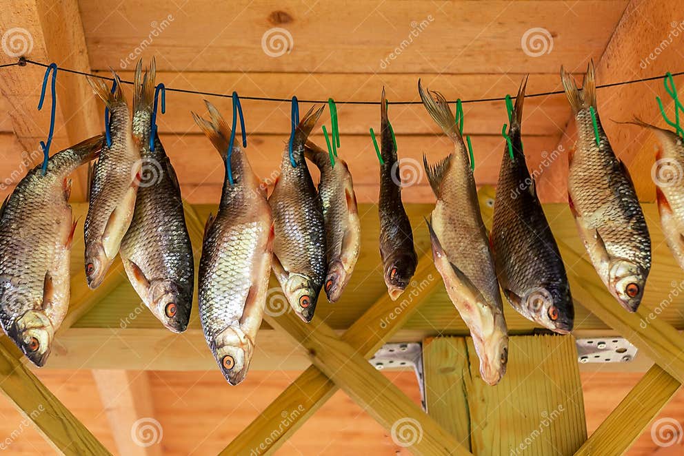 River Fish Hanging Upside Down Dried on a Rope Stock Image - Image of ...