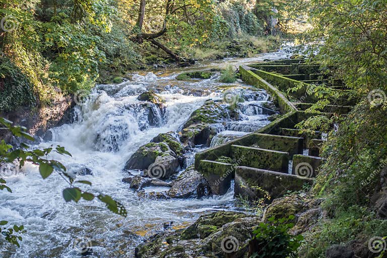 River and Fish Ladder stock photo. Image of ladder, washington - 80490208