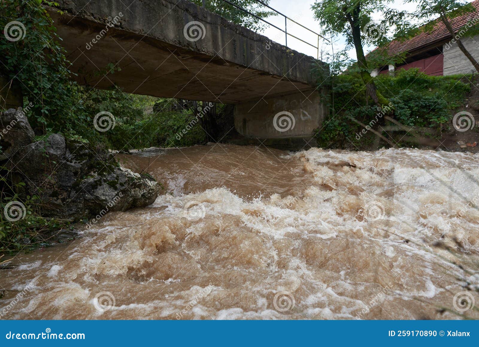 River flash flood stock photo. Image of river, forest - 259170890