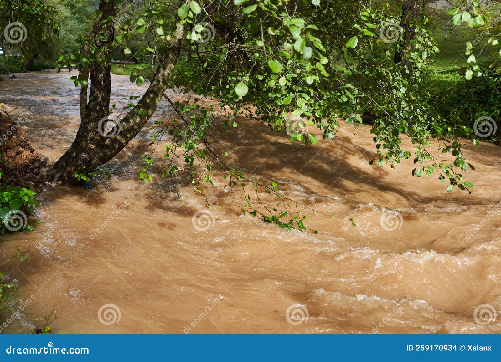 River flash flood stock photo. Image of river, flooding - 259170934