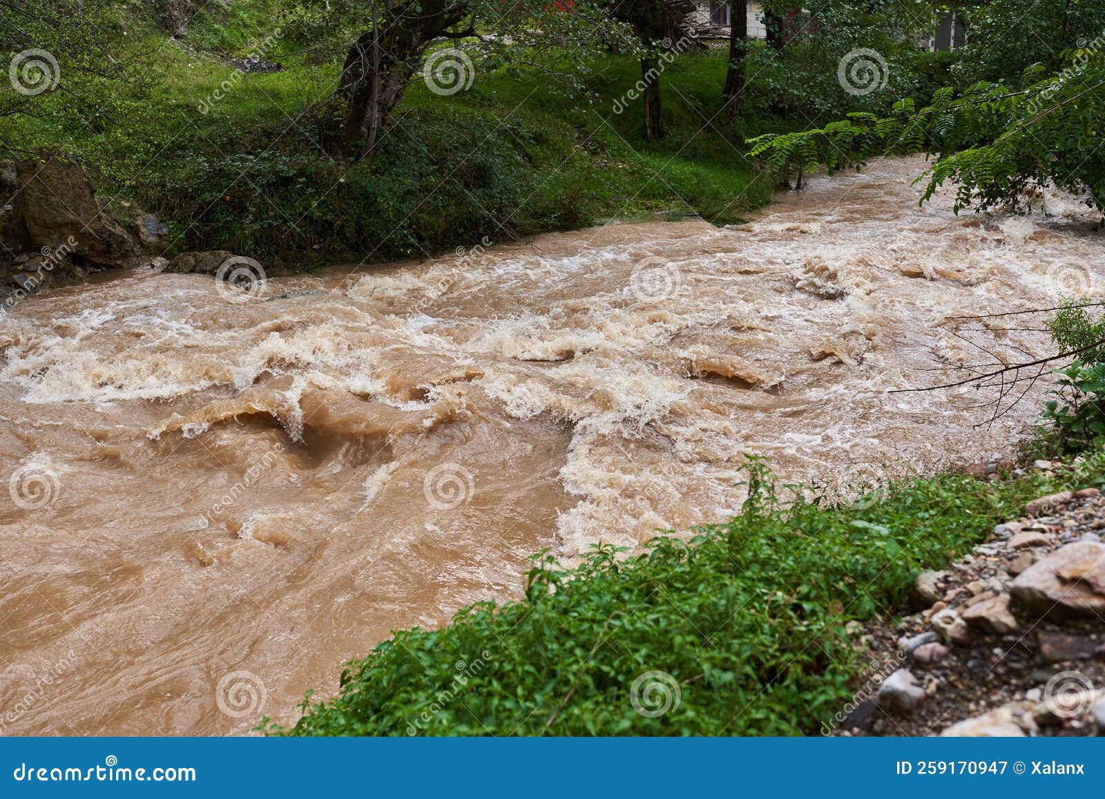 River flash flood stock image. Image of dirty, flowing - 259170947