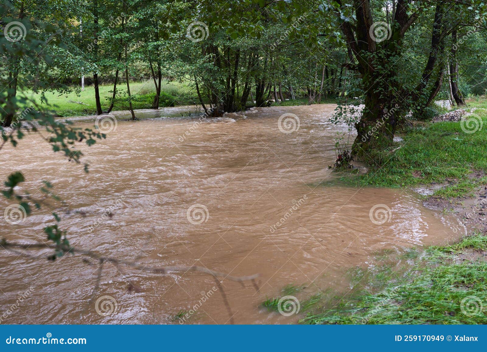 River flash flood stock image. Image of flood, climate - 259170949