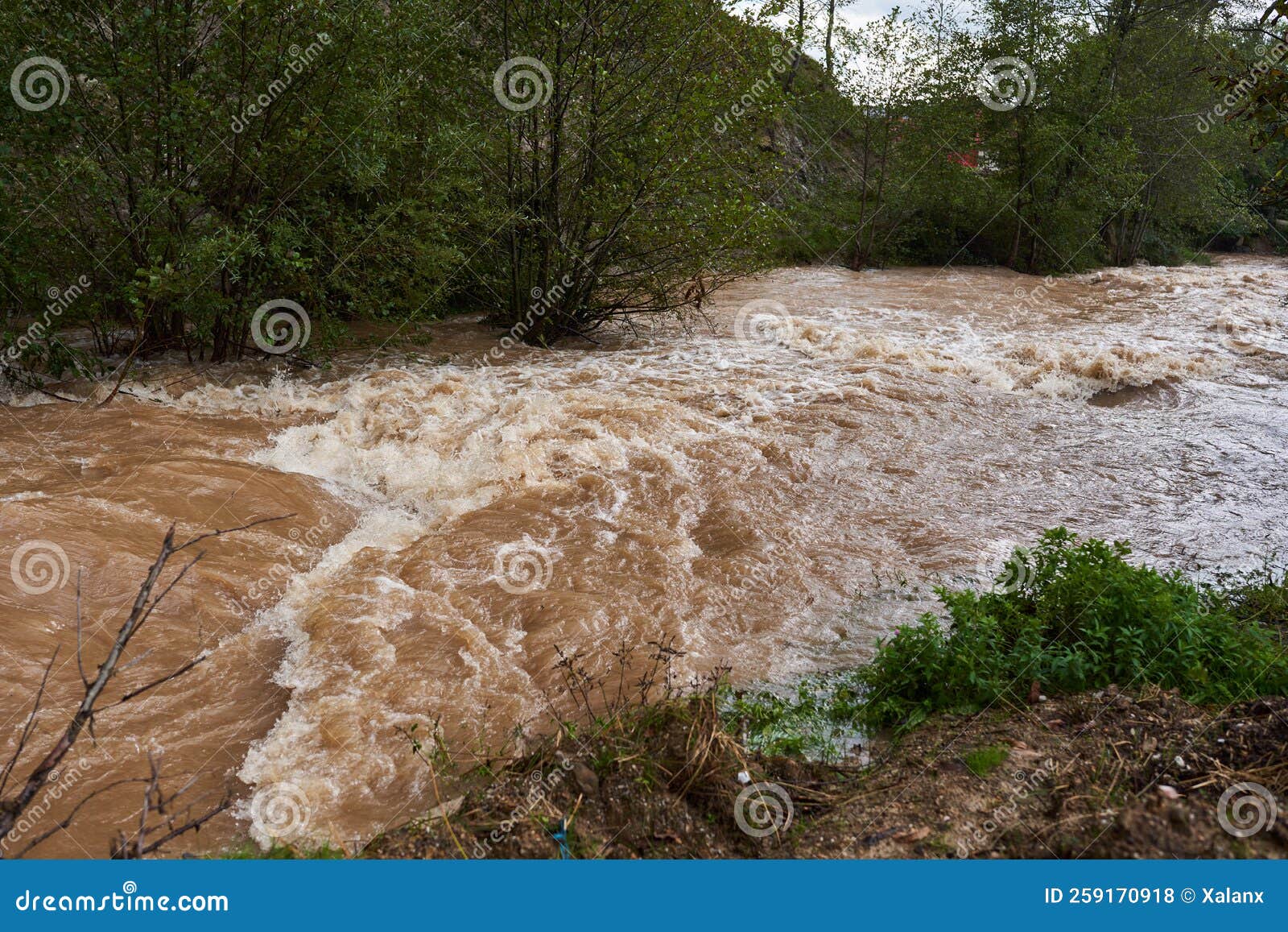 River flash flood stock photo. Image of dangerous, outdoor - 259170918