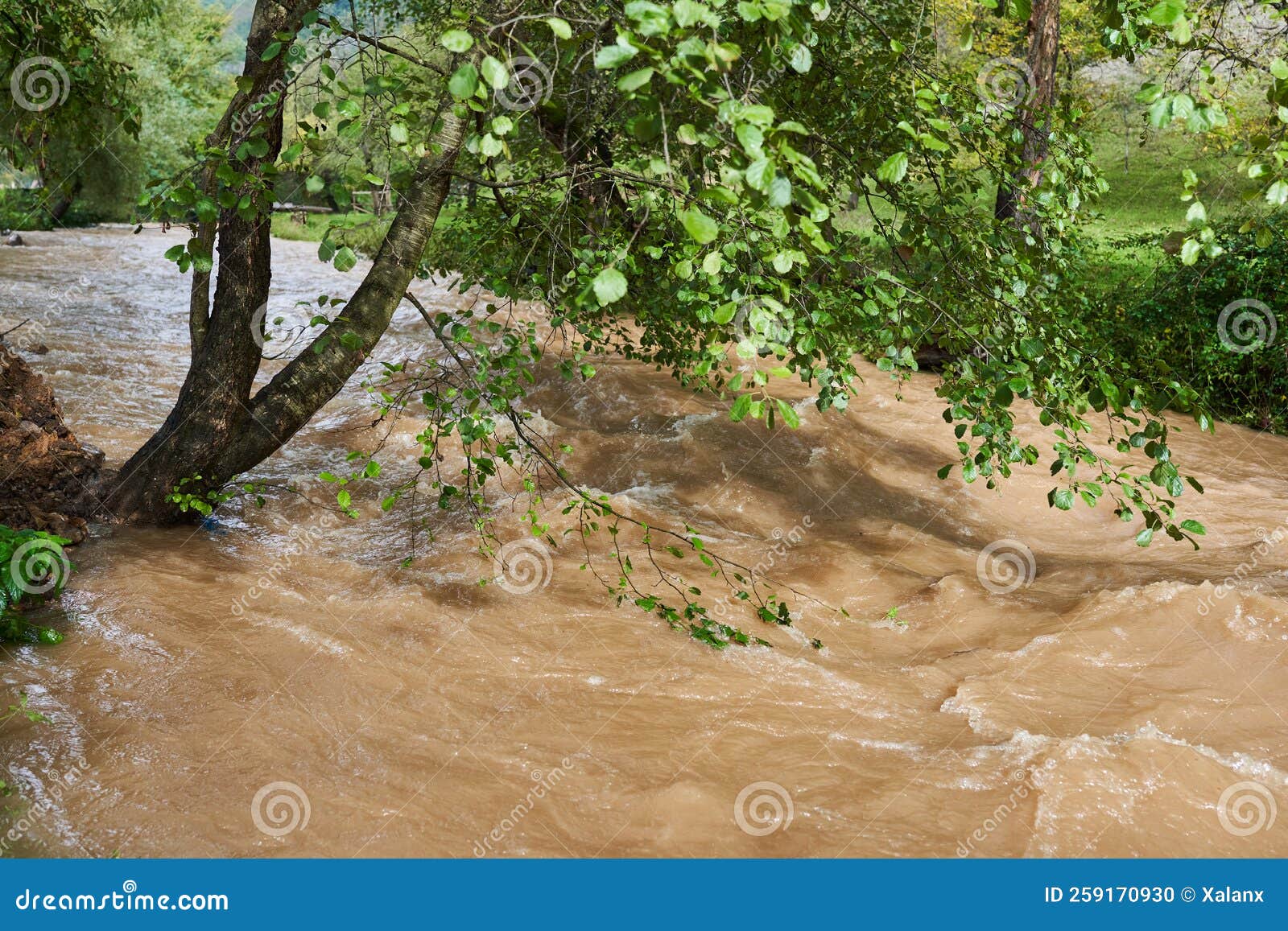River flash flood stock photo. Image of fast, environment - 259170930