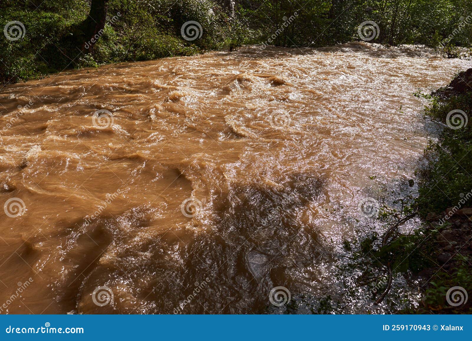 River flash flood stock image. Image of flowing, flood - 259170943