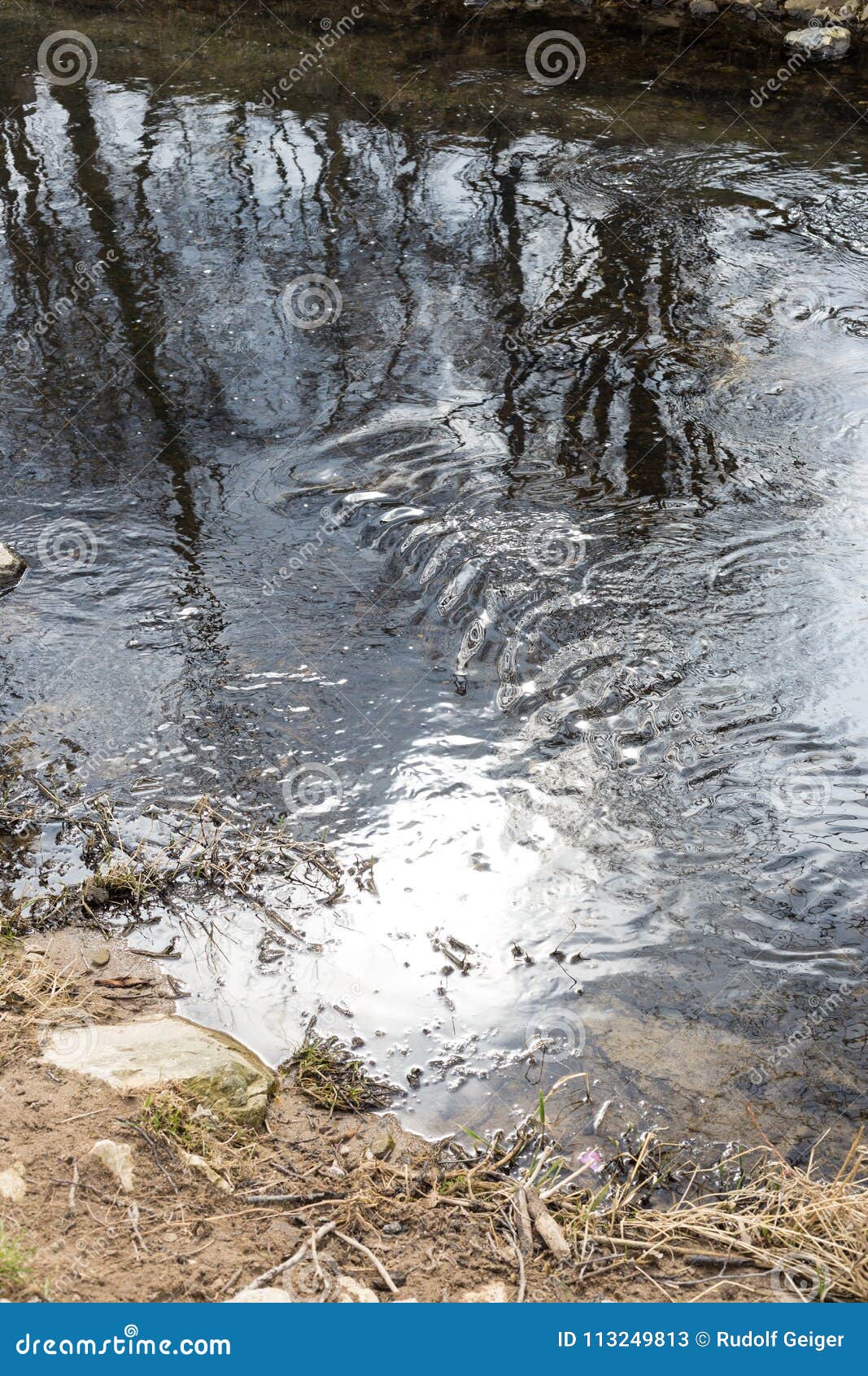 River Floating Surface View with Mirroring Objects and Tiny Wave Stock ...
