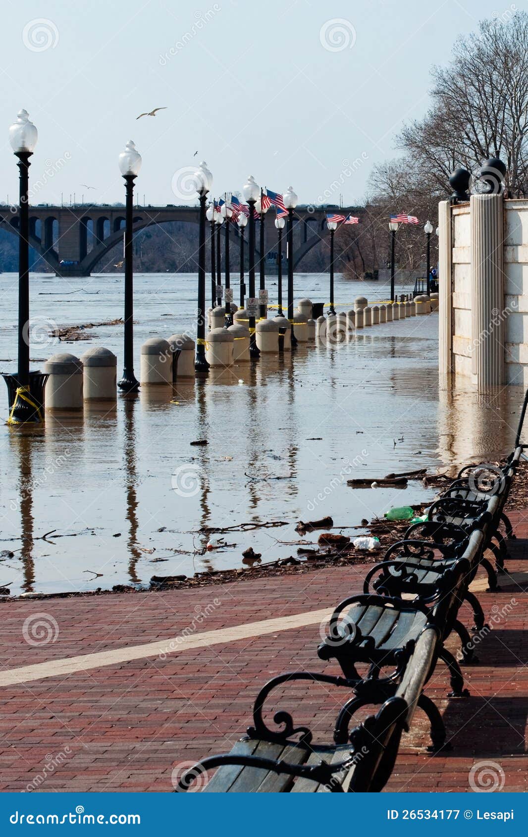 River in flood. stock image. Image of grey, risk, washington - 26534177