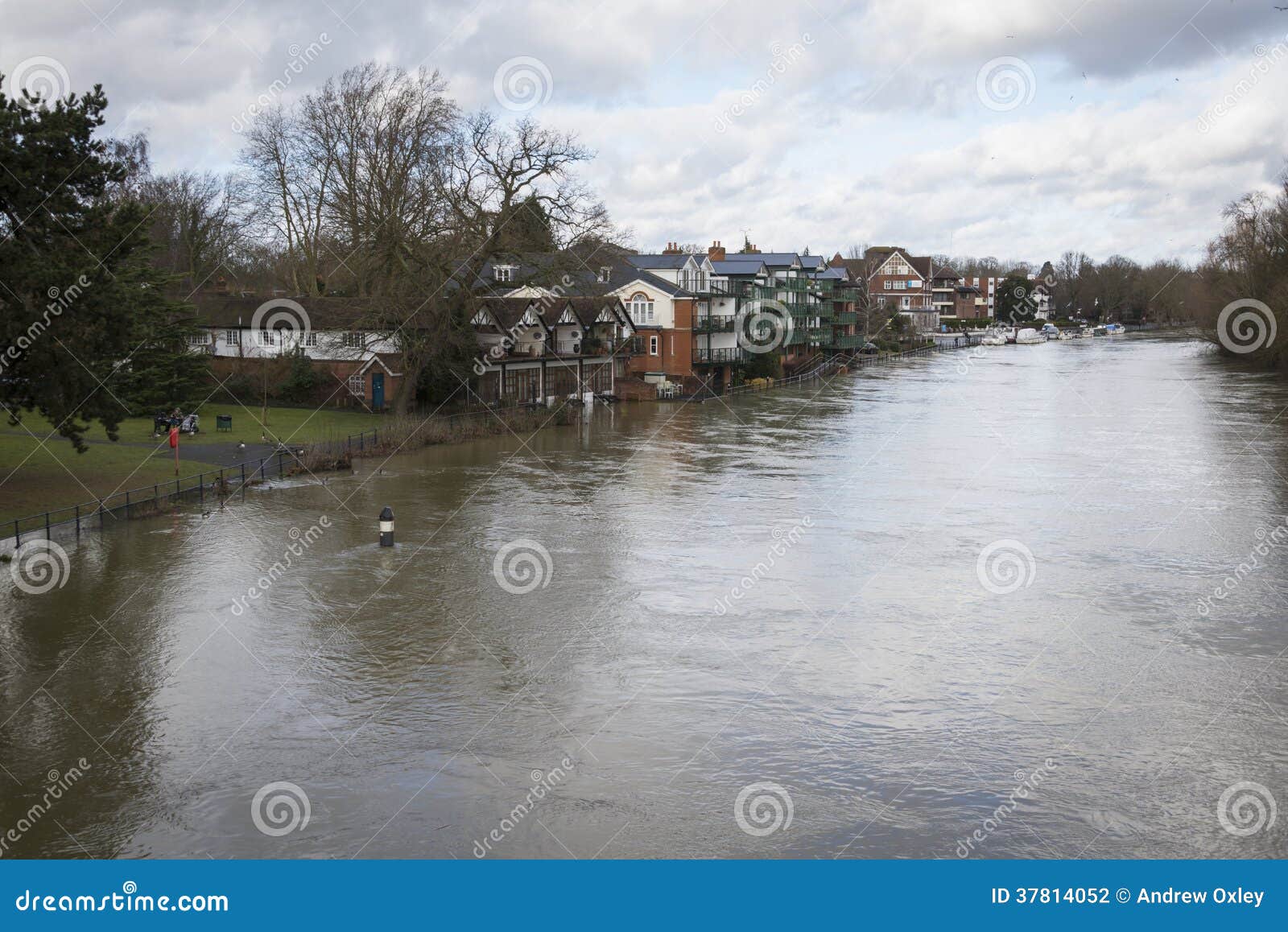 River in Flood at Maidenhead Editorial Photography - Image of ...