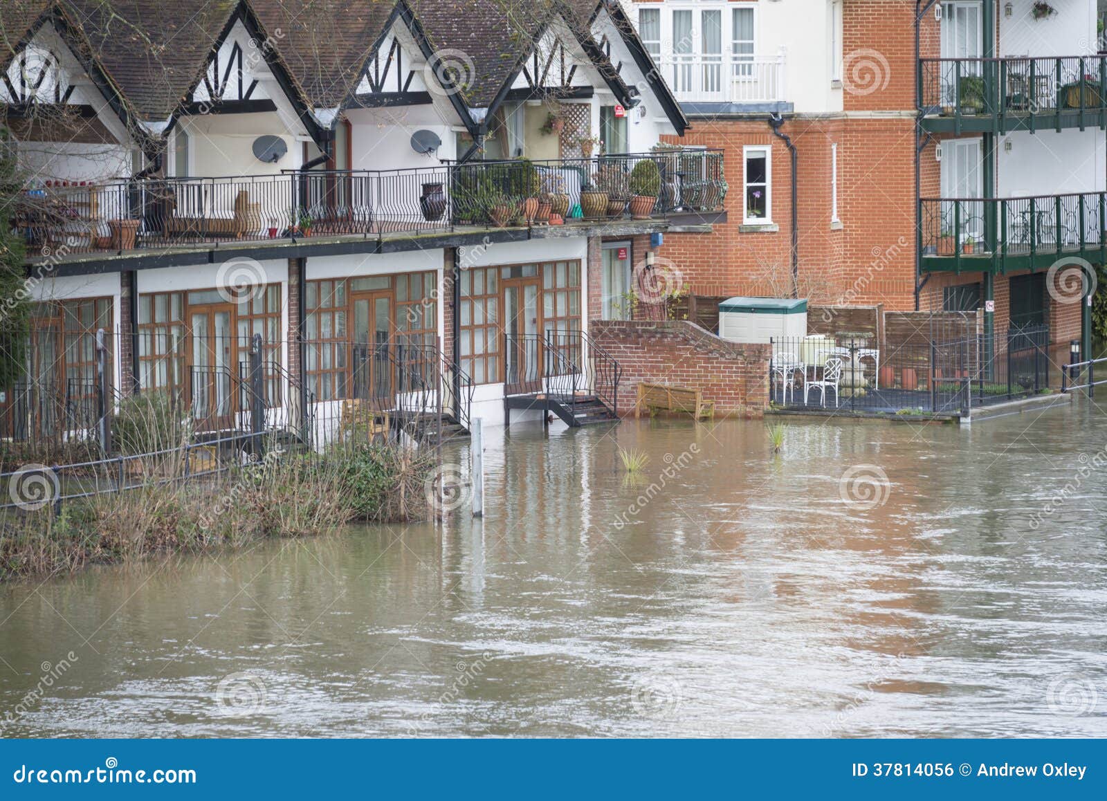 River in Flood at Maidenhead Editorial Photo - Image of thames, bridge ...
