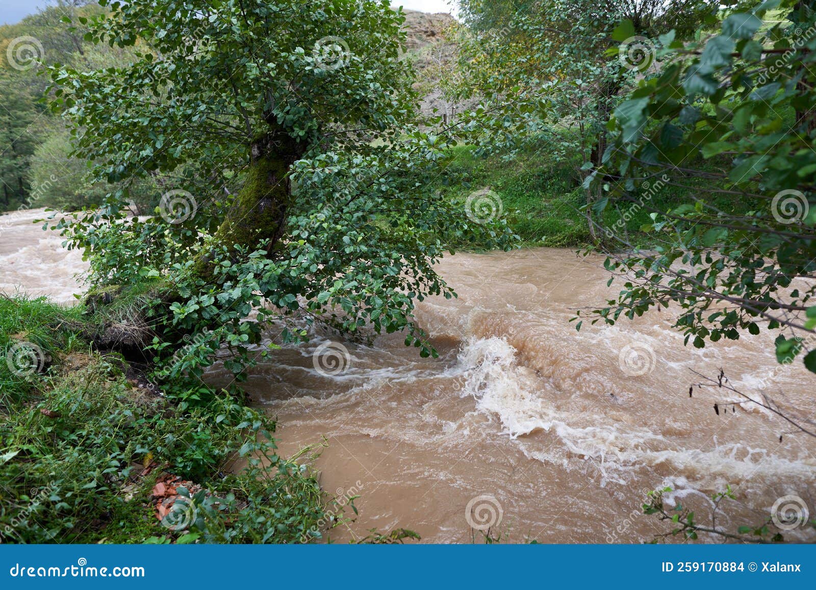 River flash flood stock photo. Image of flow, hurricane - 259170884