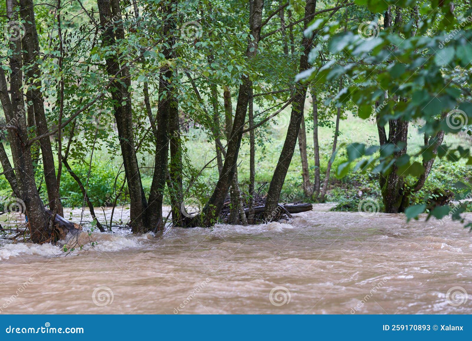 River flash flood stock image. Image of devastation - 259170893
