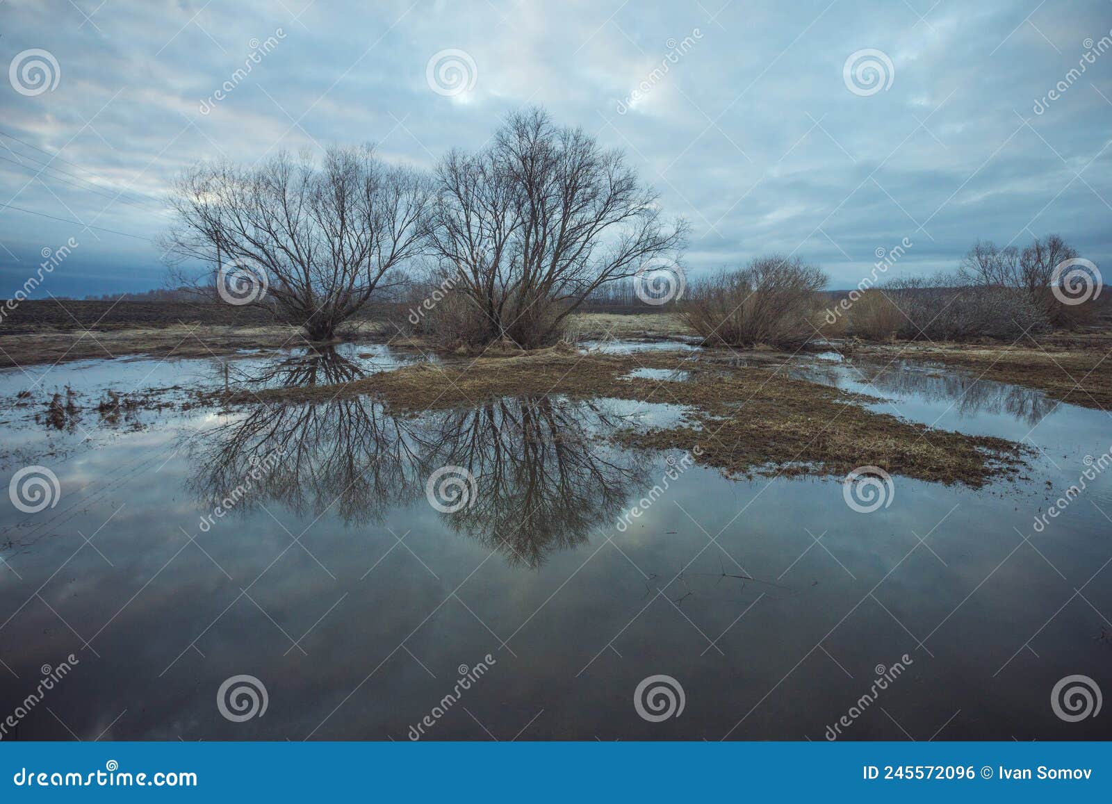River Flooding in Spring in April Stock Photo - Image of season, shore ...
