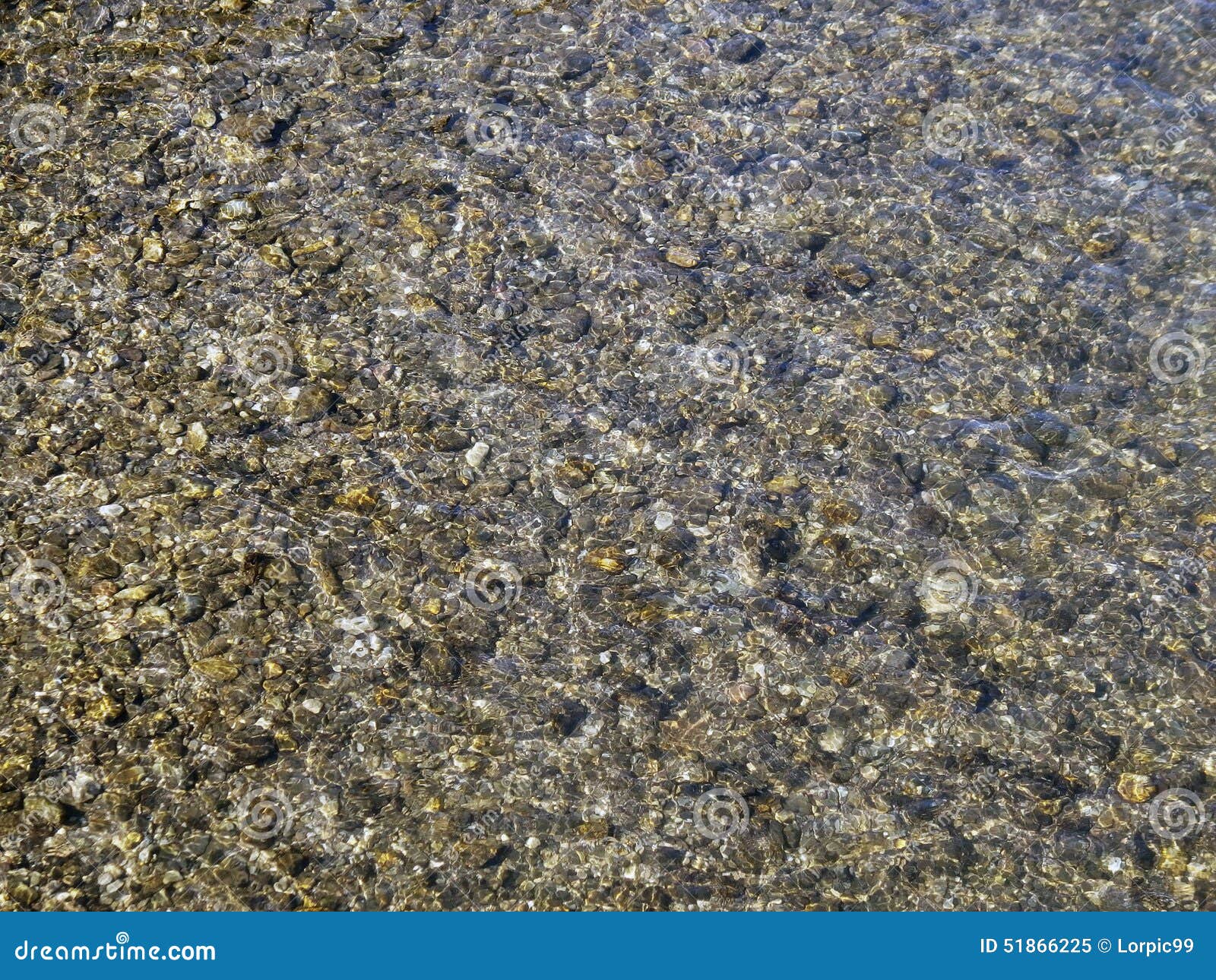 River floor stock image. Image of river, nature, close - 51866225