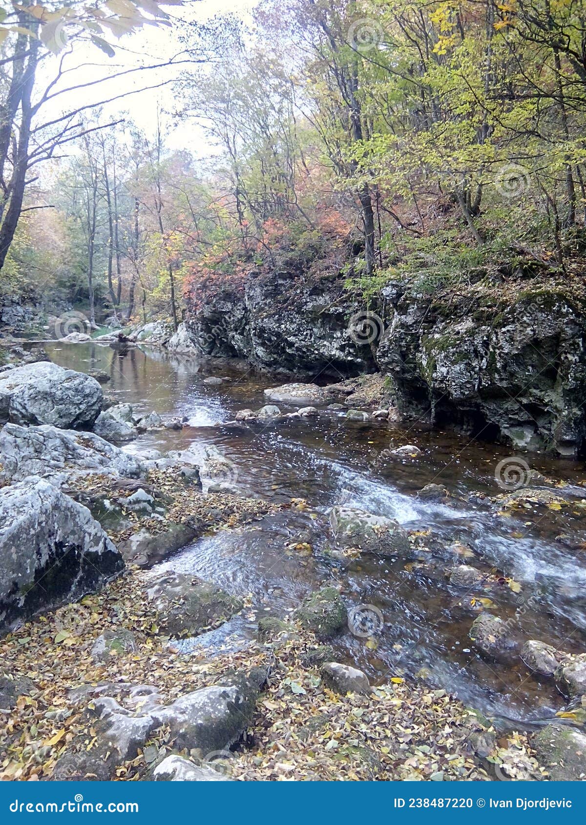 River flov valley stock photo. Image of rapid, wilderness - 238487220
