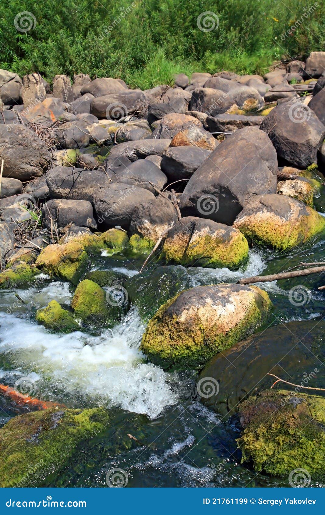 River Flow, Mangrove Forest Ecosystem And A Fishing Boat In The Village ...