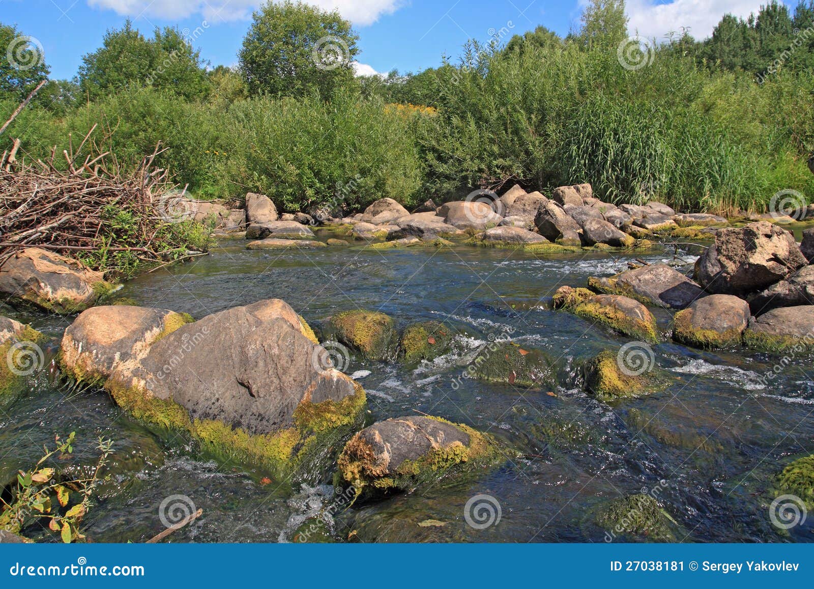River flow stock image. Image of refreshment, clean, murmur - 27038181