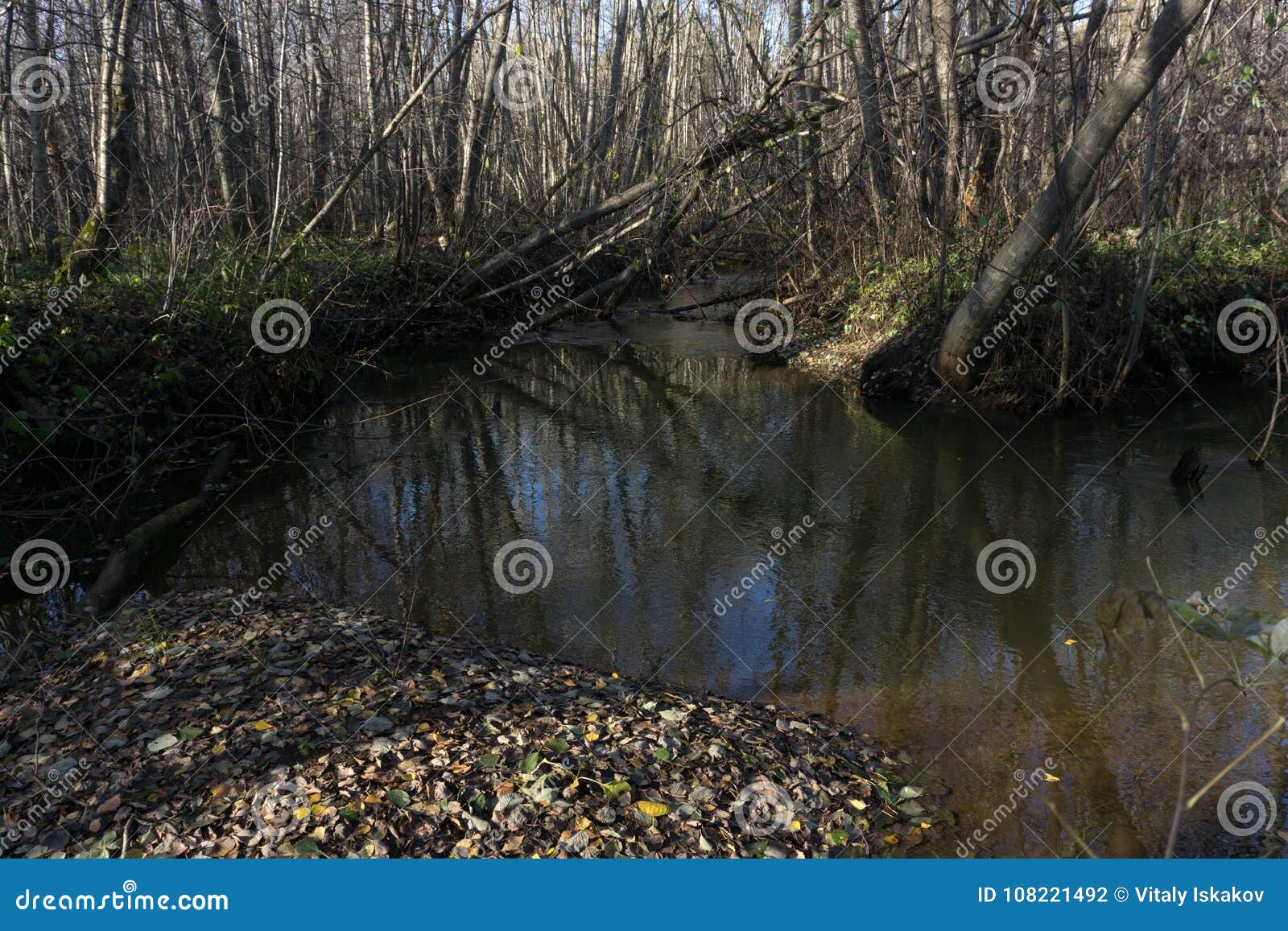 River Flow Amidst Green Jungle in Coorg . Stock Photo - Image of ...