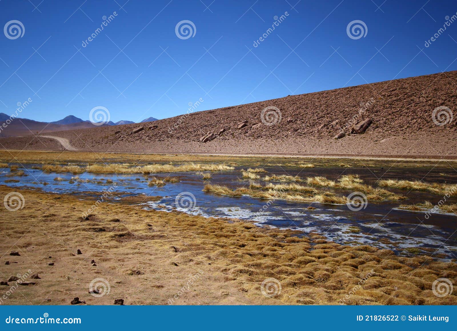 River Flow In The Atacama Desert Stock Photo - Image of light, desert ...