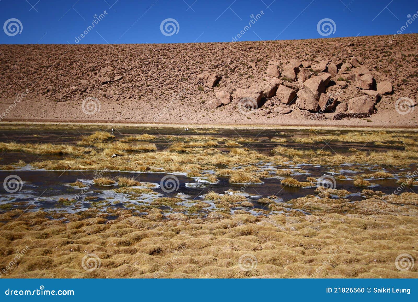 River Flow in the Atacama Desert Stock Photo - Image of land, american ...
