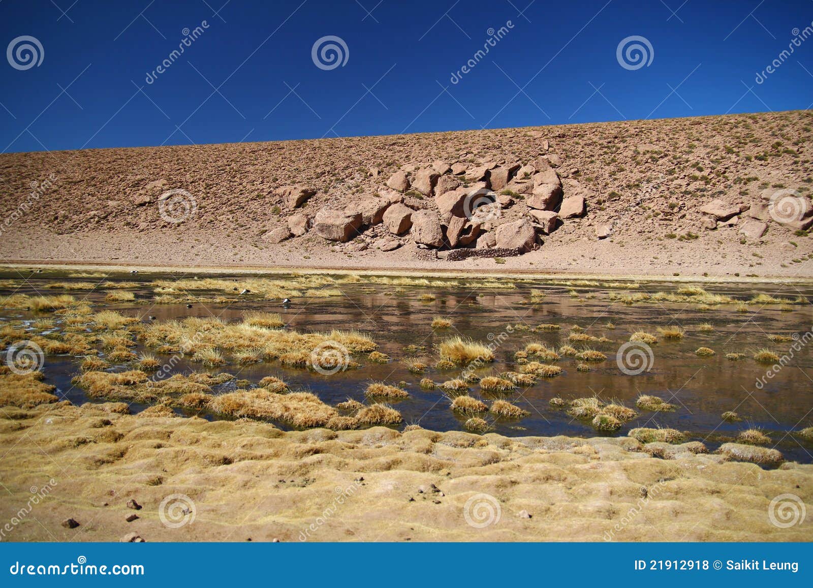 River Flow in the Atacama Desert Stock Photo - Image of canyon, brown ...