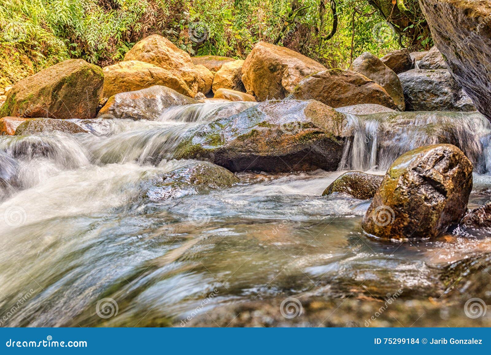 River Flow stock photo. Image of fresh, cold, clear, rica - 75299184