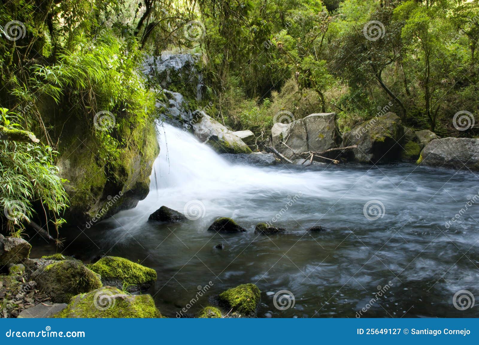 River flow / Ecology scene stock image. Image of landscape - 25649127