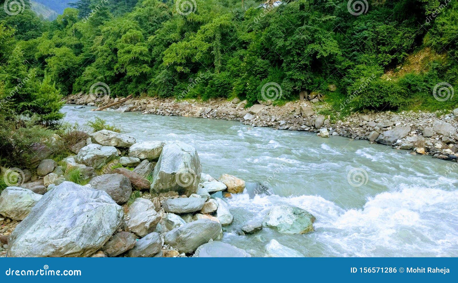 River Flow in the Forest with Clear Water Stock Photo - Image of flow ...
