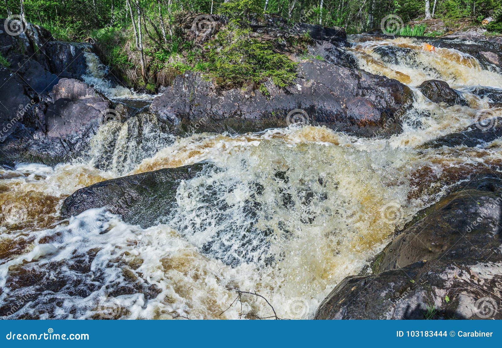 River flow in the forest stock photo. Image of speed - 103183444