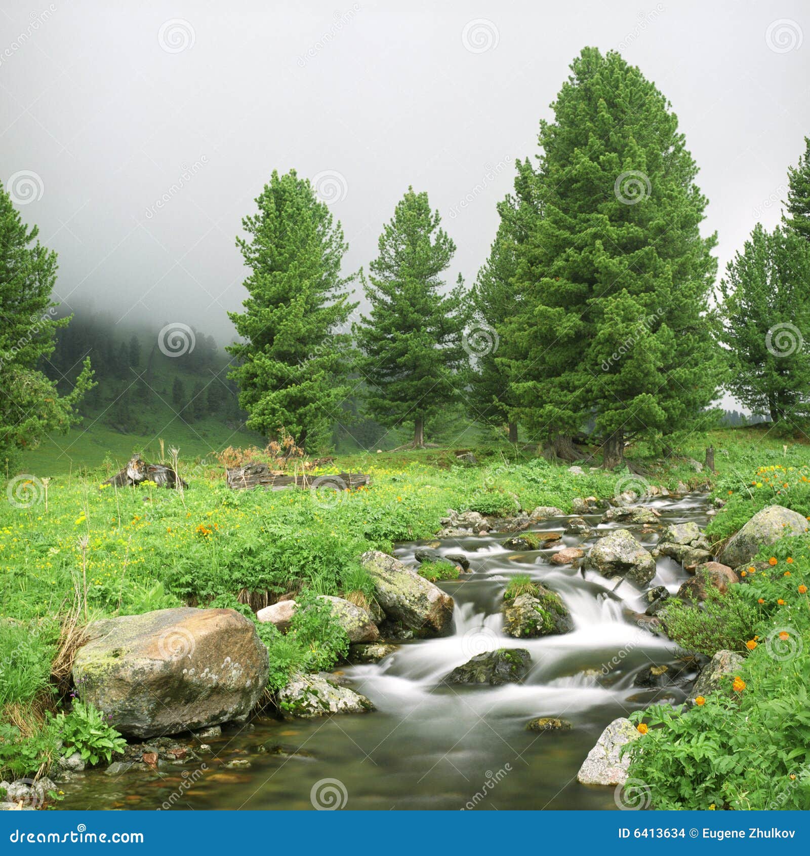 River Flow in High Mountains Stock Photo - Image of green, color: 6413634