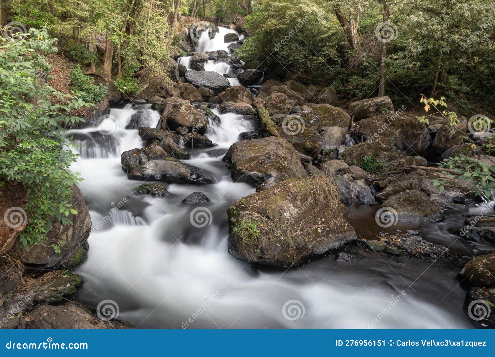 River Flow in the Middle of the Forest, Silk Effect Forest Stock Image ...