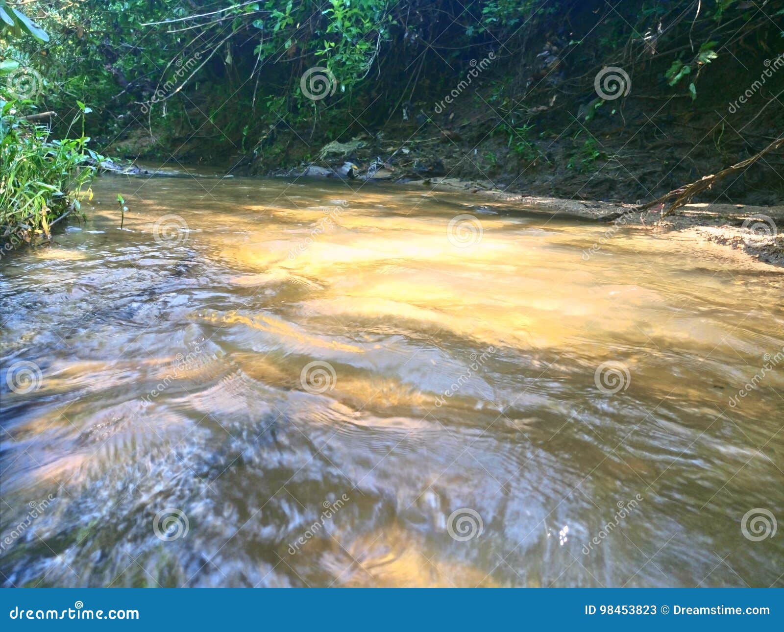 River Flow in the Middle of the Meadow Stock Image - Image of natural ...