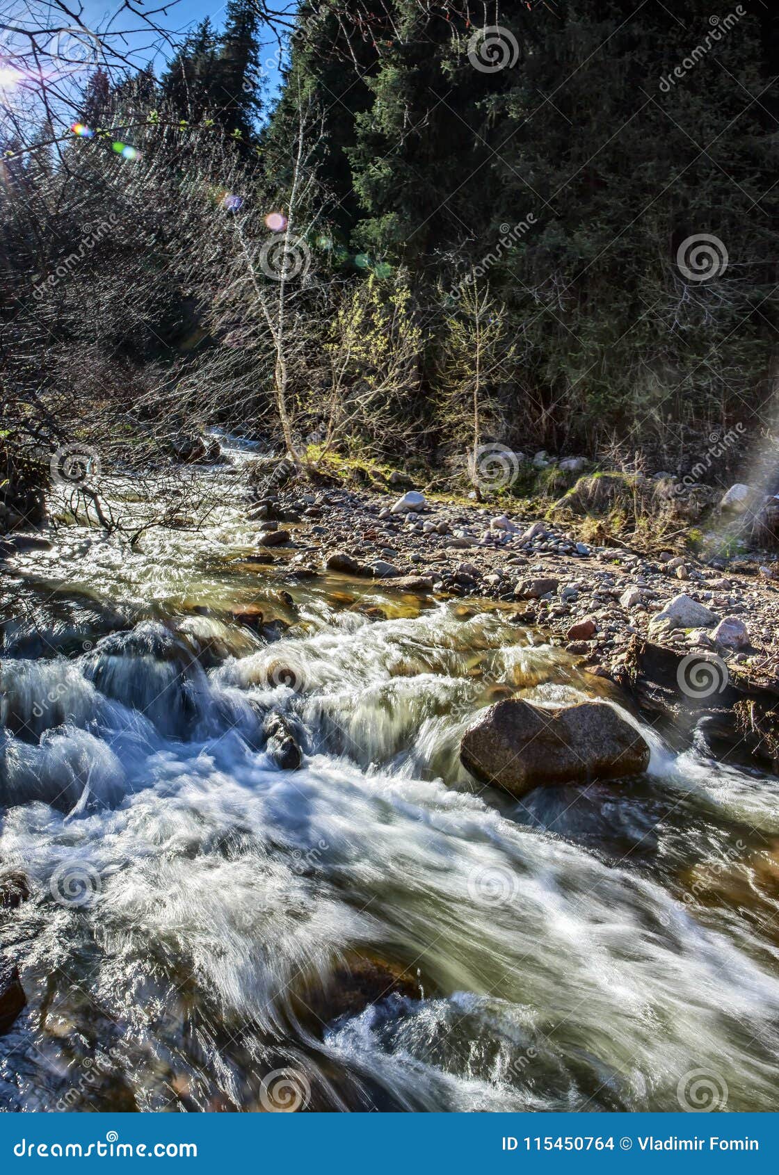 Mountain stream. stock photo. Image of sunny, spring - 115450764