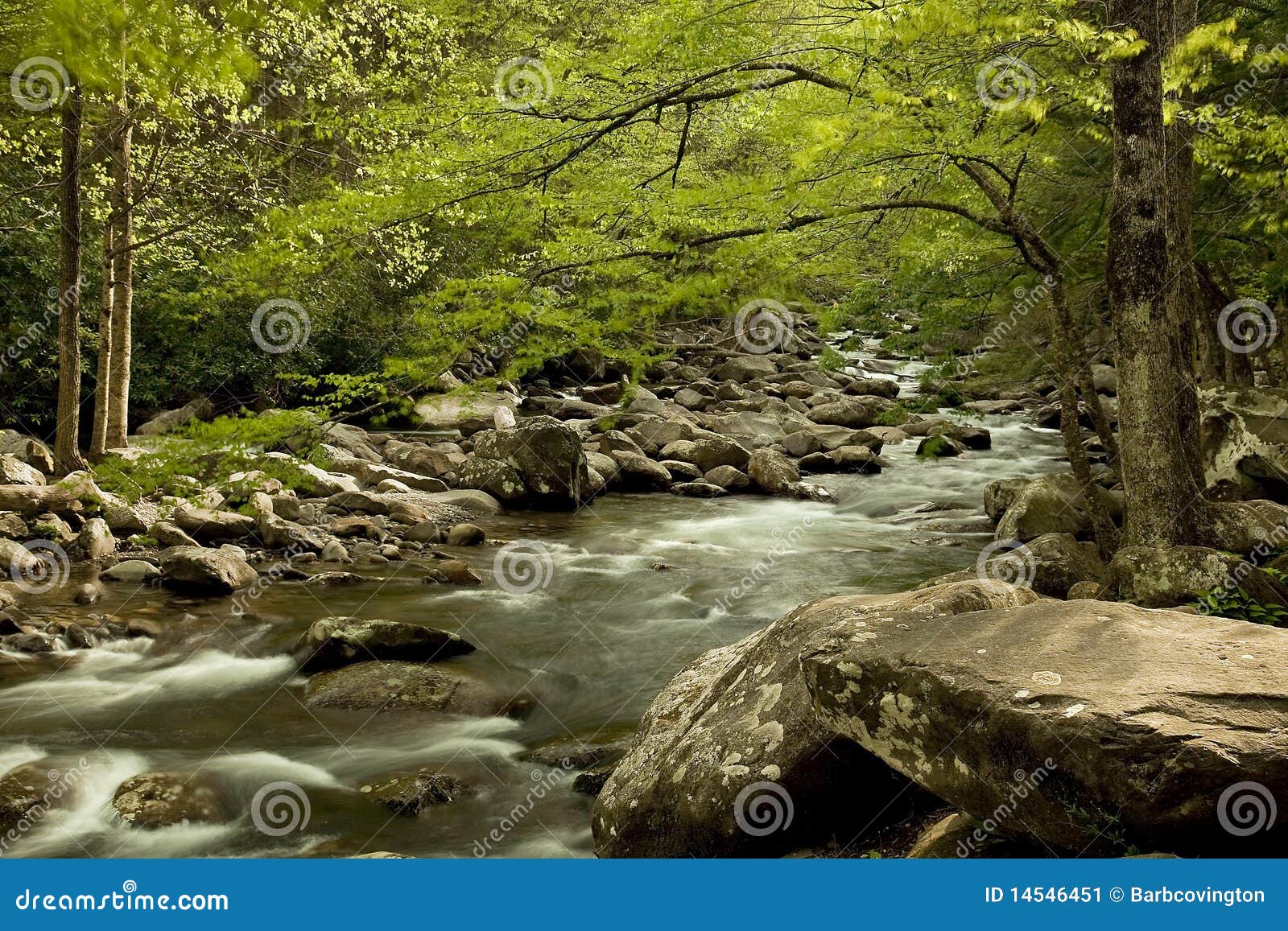 River Flow in North Carolina Stock Image - Image of moss, beautiful ...