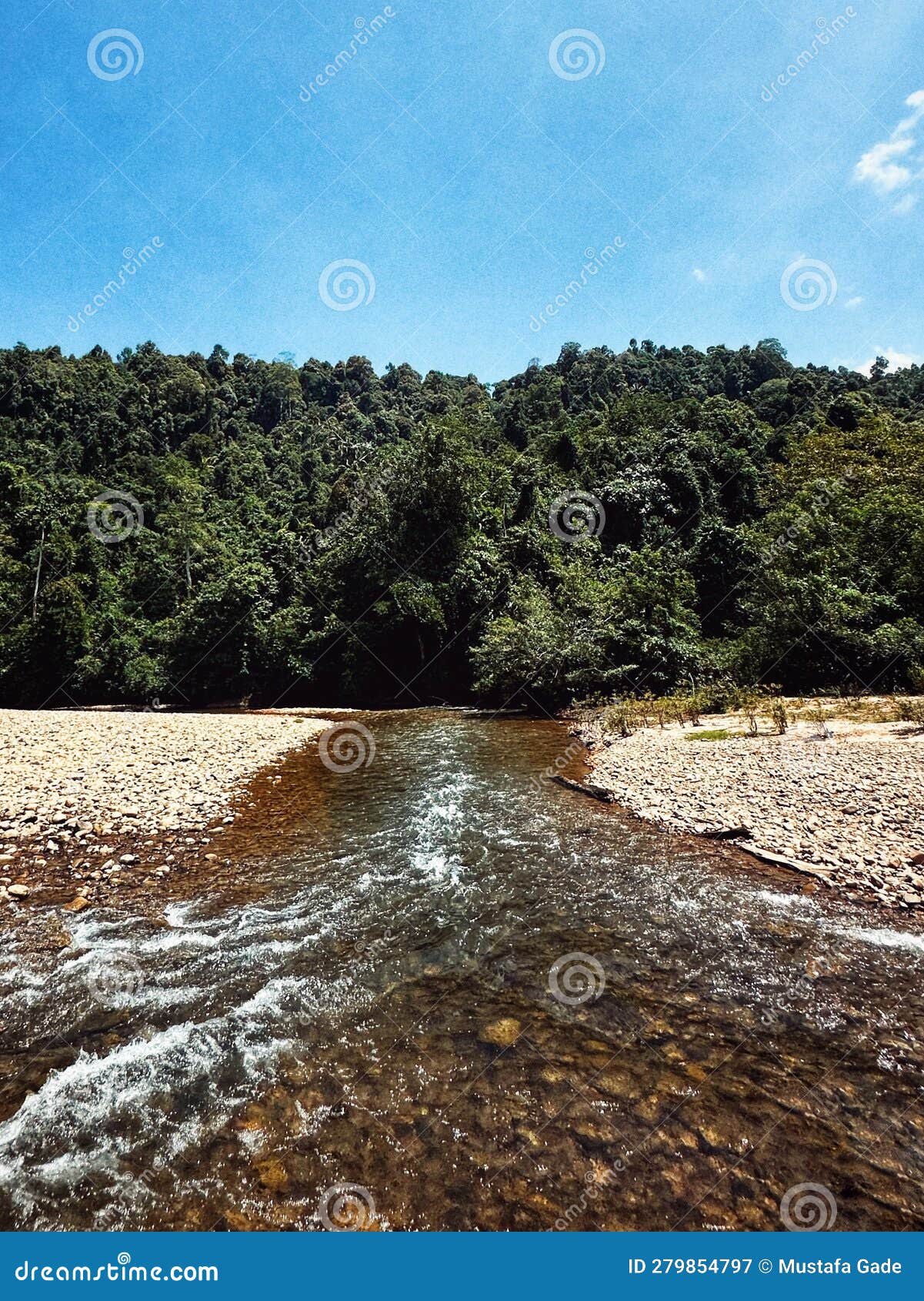 River flow stock image. Image of natural, nature, tree - 279854797