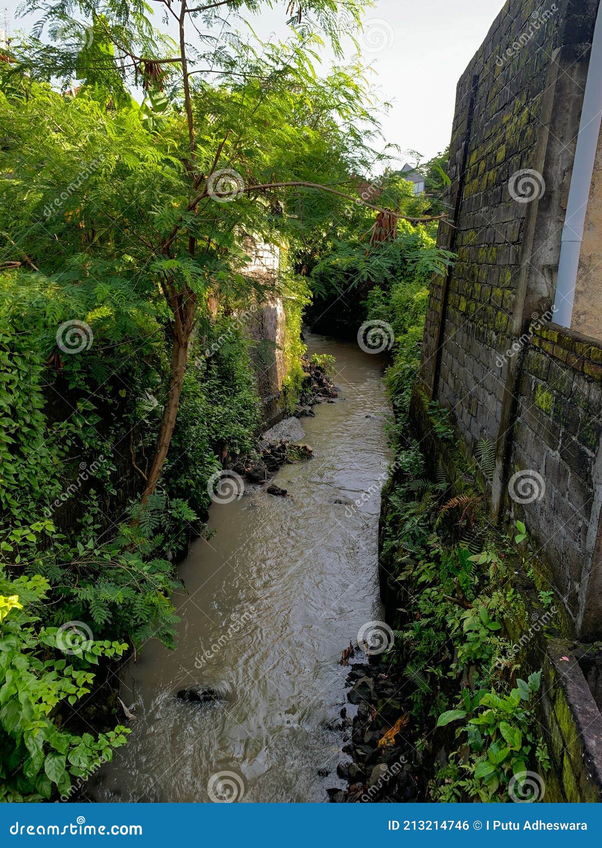 River Flow in Side of Home Residents. Stock Photo - Image of side, moat ...