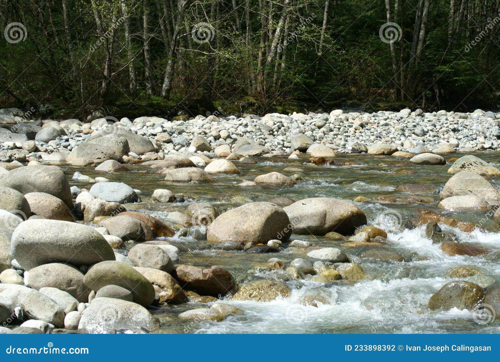 Zoomed out rock face stock photo. Image of trail, flow - 233898392