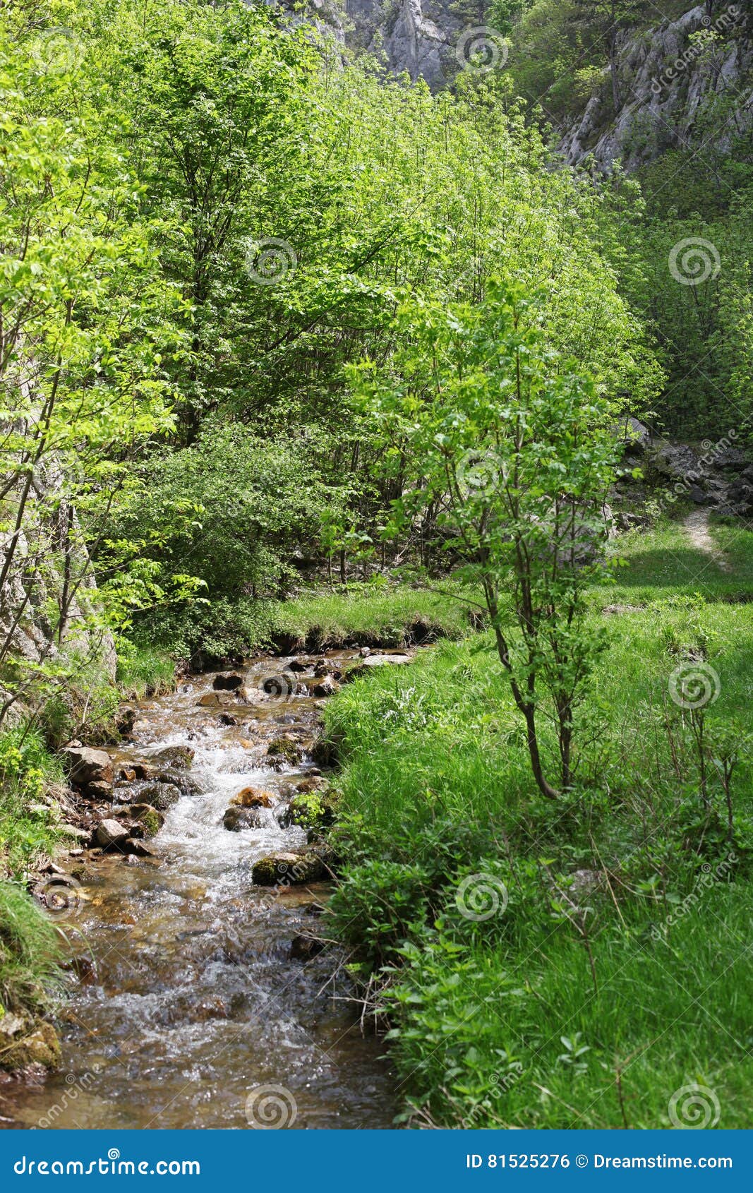 River Flow in Spring Mountains Landscape Stock Photo - Image of ...