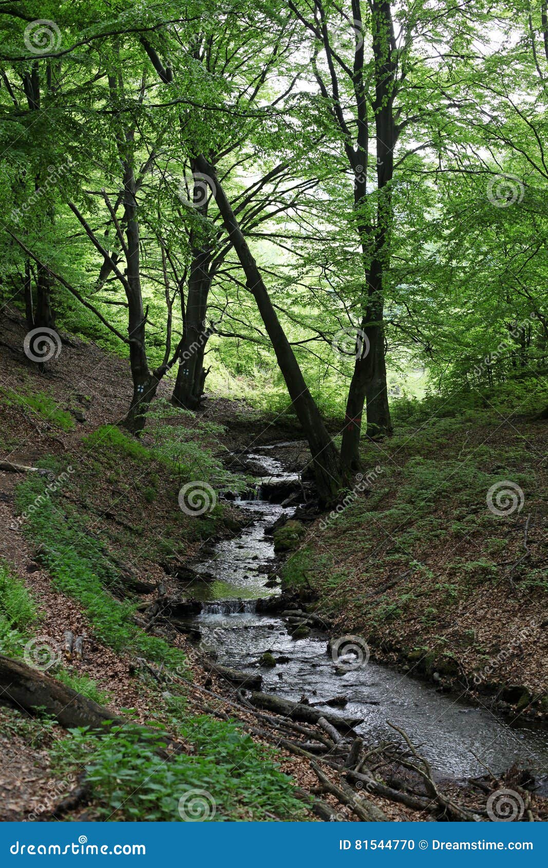 River Flow in Spring Mountains Landscape Stock Photo - Image of flow ...