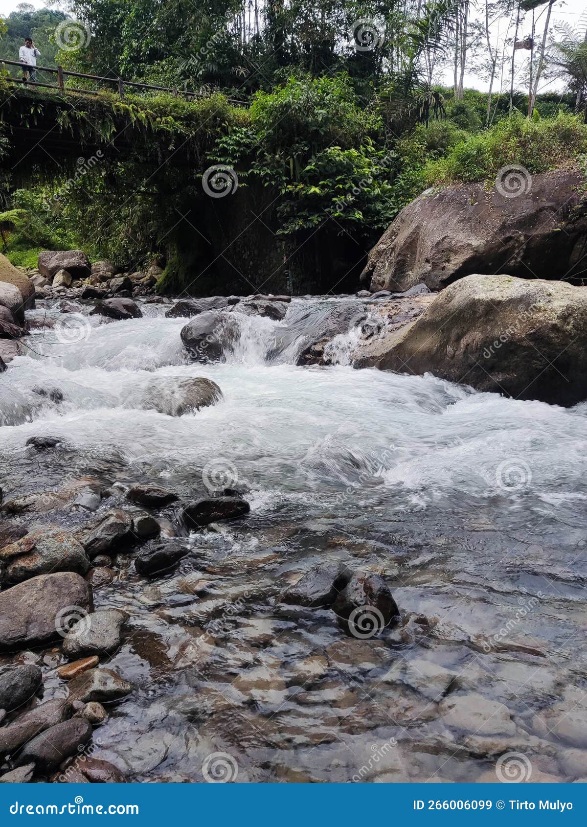 River Flow, Stone, and the Bridge Stock Image - Image of creek, bridge ...