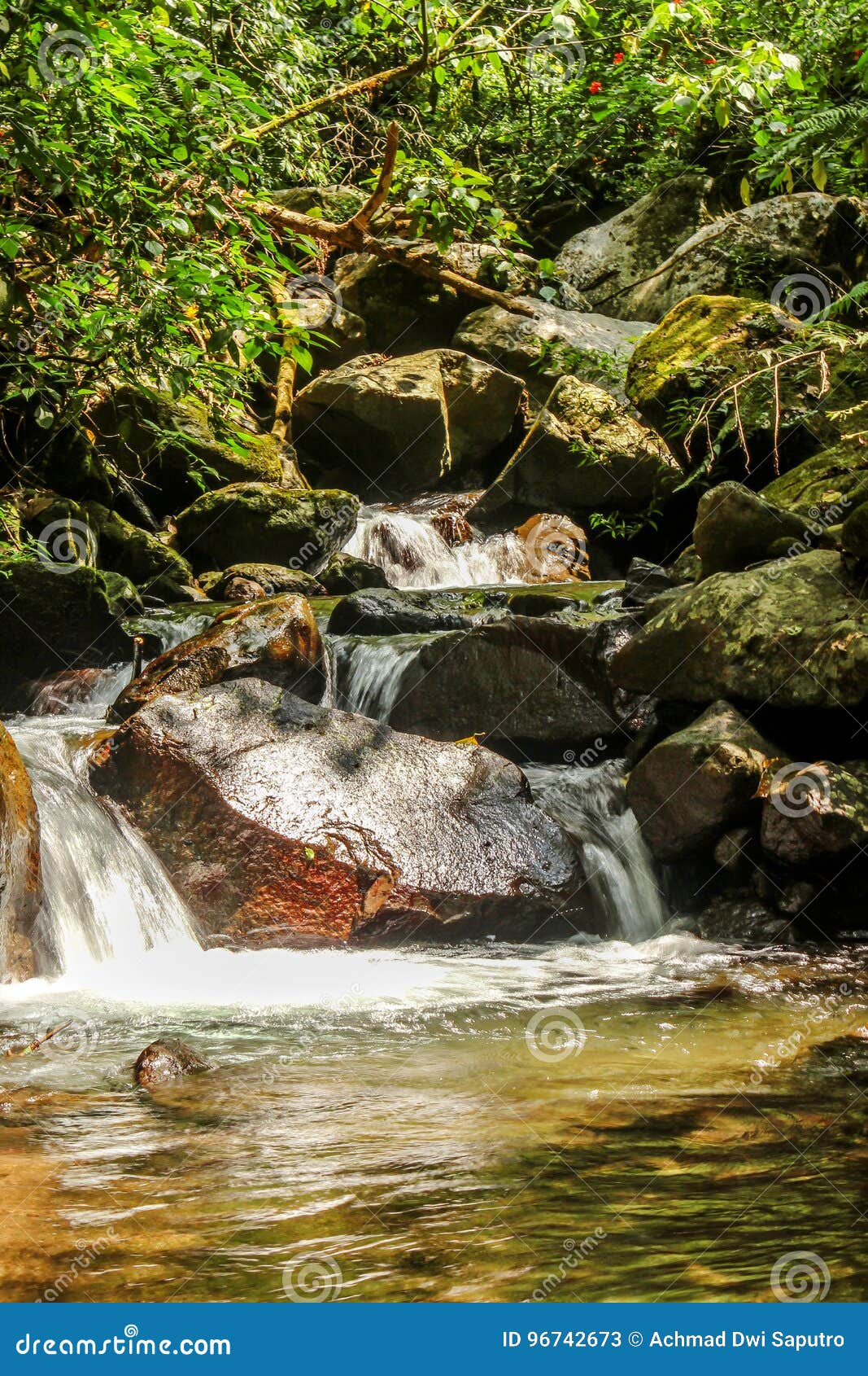 River flow stock image. Image of jungle, green, leaf - 96742673