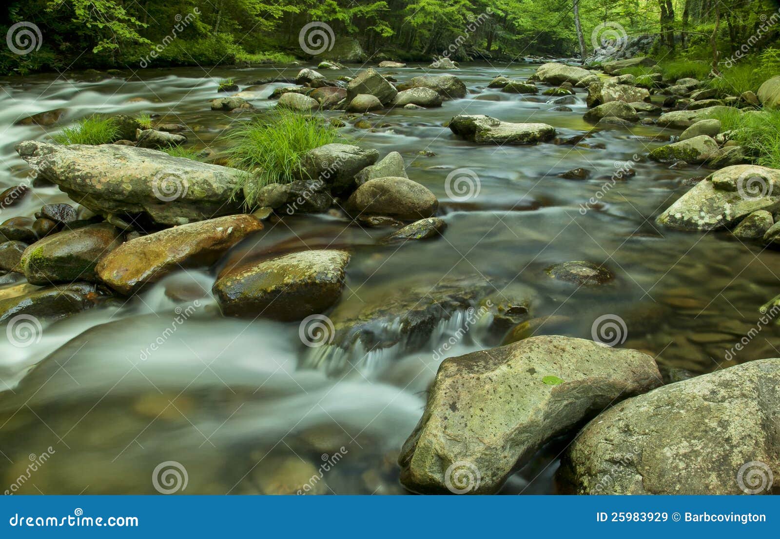 River Flow, Mangrove Forest Ecosystem And A Fishing Boat In The Village ...