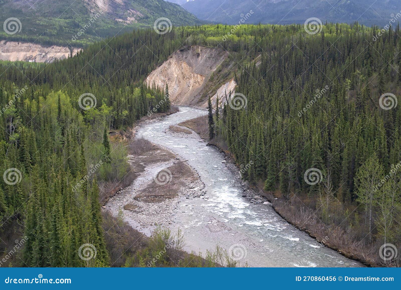 River Flowing through the Alaskan Frontier Stock Photo - Image of ...