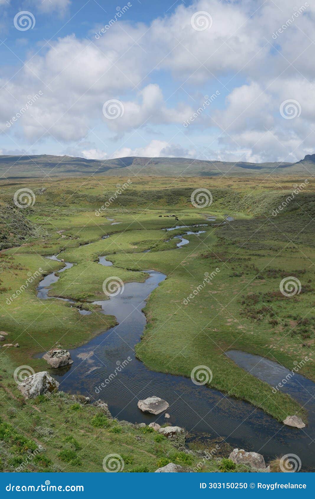 River Flowing through Bale National Park in Ethiopia Stock Photo ...