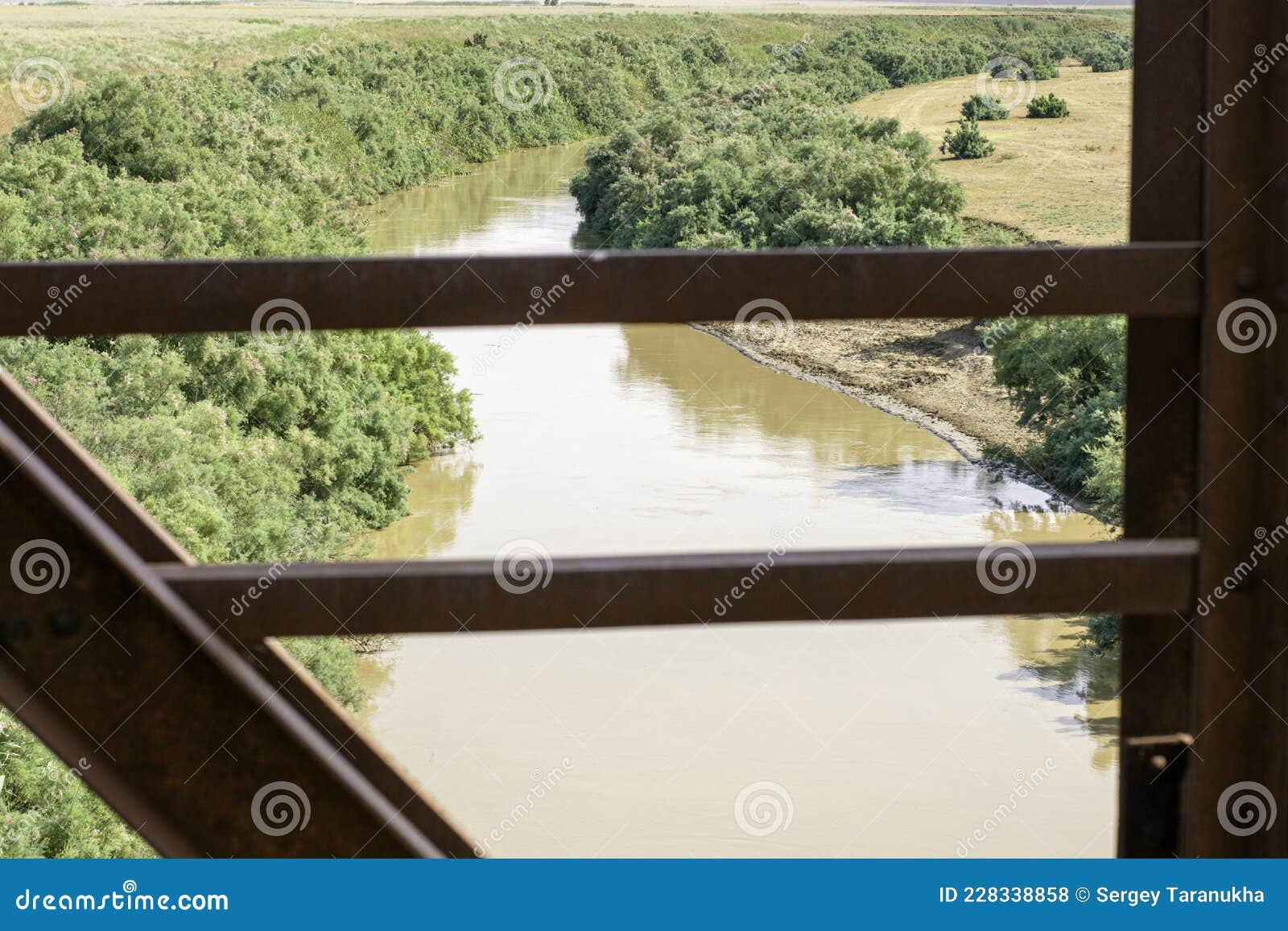 The River Flowing between the Banks Overgrown with Branches, the View ...