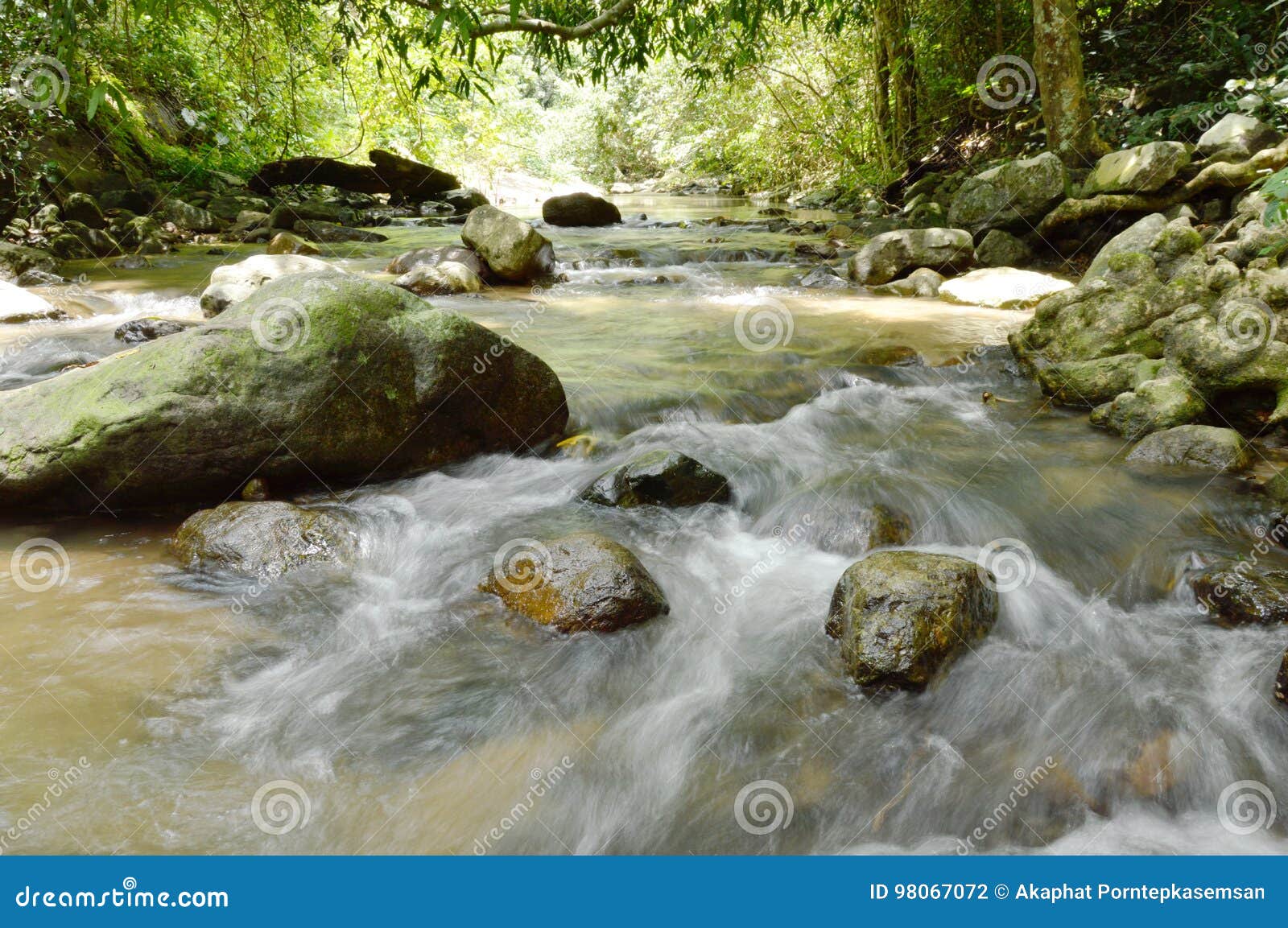 River Flowing on Cataract and Water Splashing in Forest Stock Photo ...